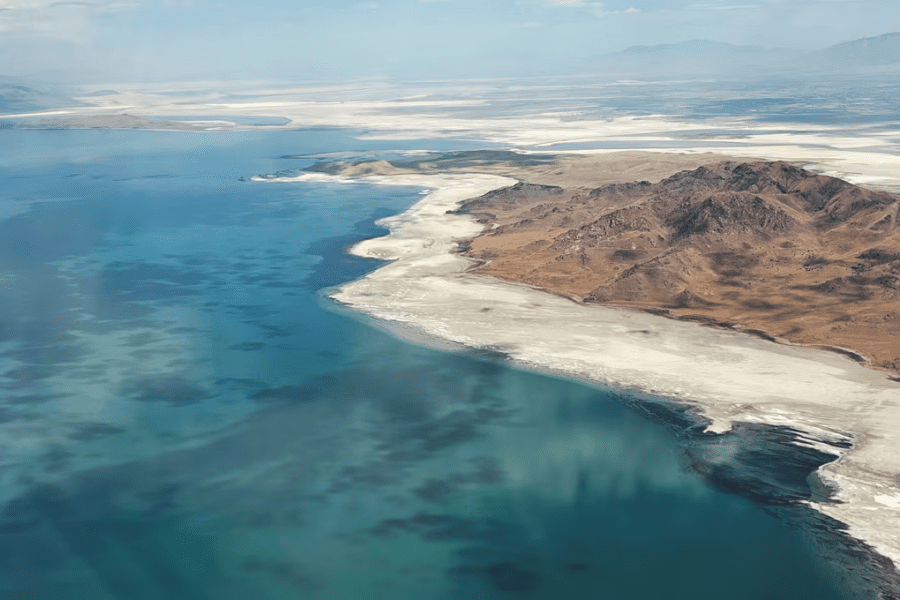 Bio77 Concentrated Minerals and Trace Elements is basically the best ...